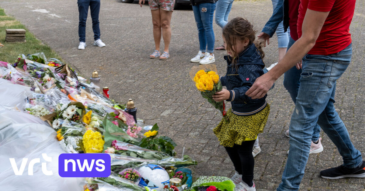 Jaar na moord op 9-jarige Gino in Nederland: tweede verdachte opgepakt, voor verbergen van ...