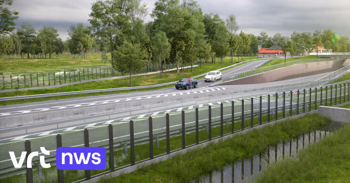Vernieuwing N42 tussen Wetteren en Zottegem uitgesteld door uitspraak Raad van State | VRT NWS ...