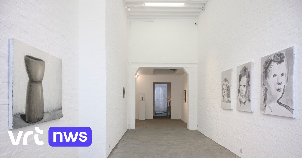 Antwerpse galerie Zeno X houdt ermee op: "Dit slaat een krater in de ...