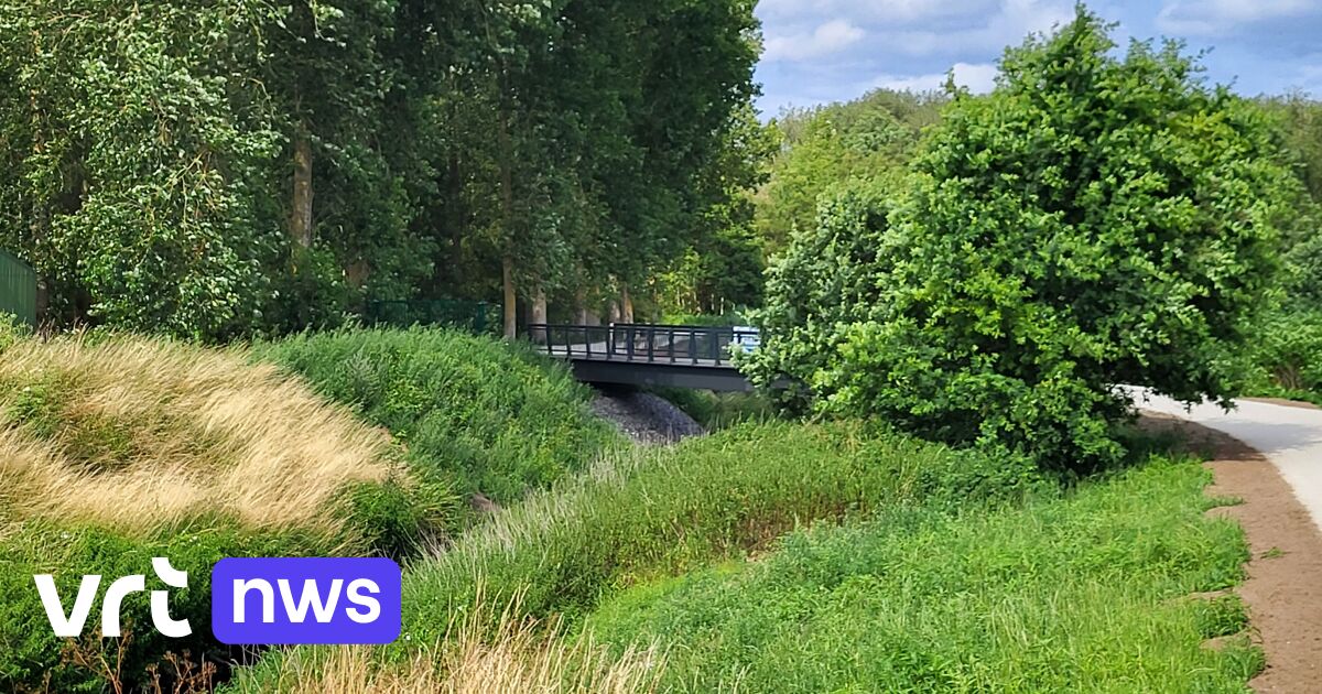 Nieuw fietspad langs de rivier de Bovenvliet tussen Schelle en Hemiksem ...