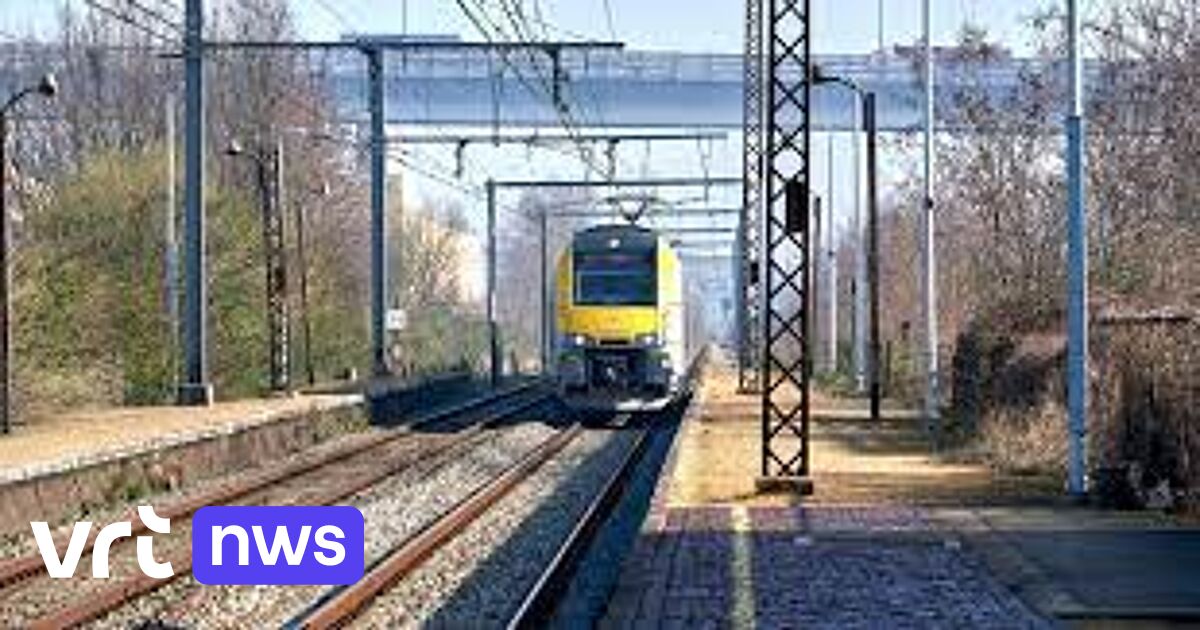 48-hour rail strikes in November and December | VRT NWS: news