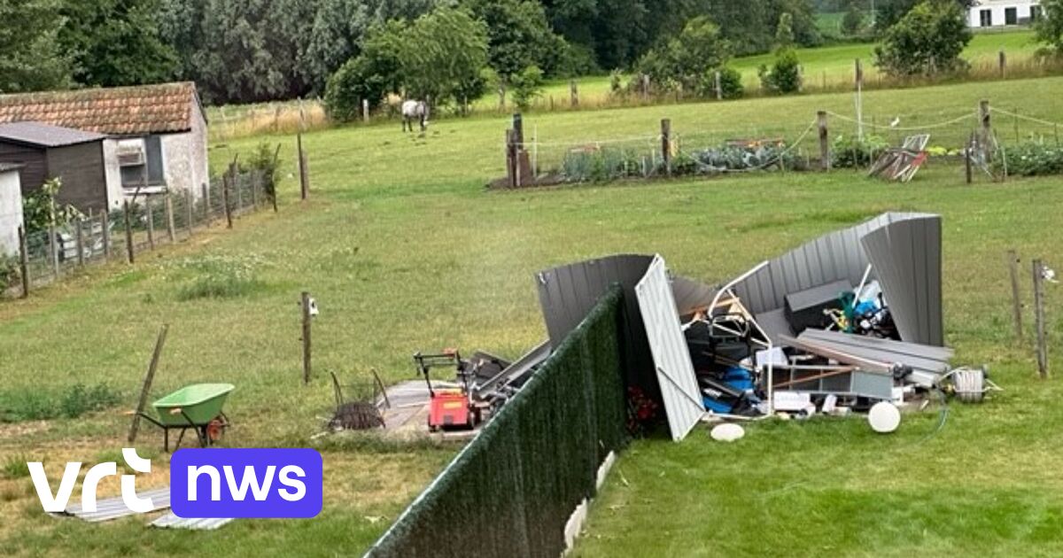 Windstoot vernielt achtertuin van Samantha in Kalken: “We hebben het ...