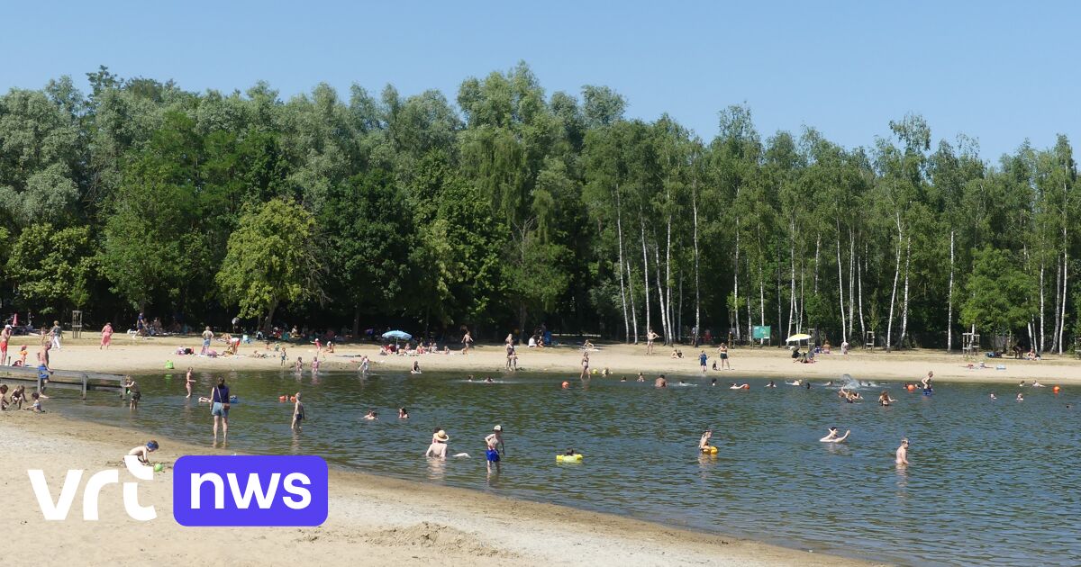 Jongen moet gereanimeerd worden aan meer van Rotselaar | VRT NWS: nieuws