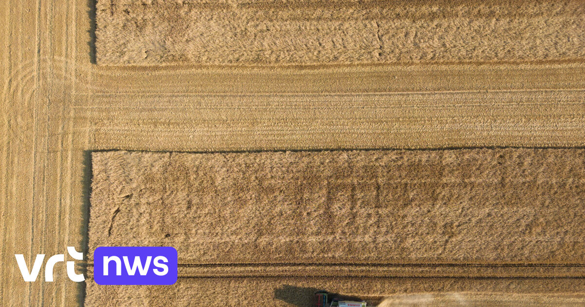 "Geen ambitieuze normen en te weinig focus op de dringende problemen ...