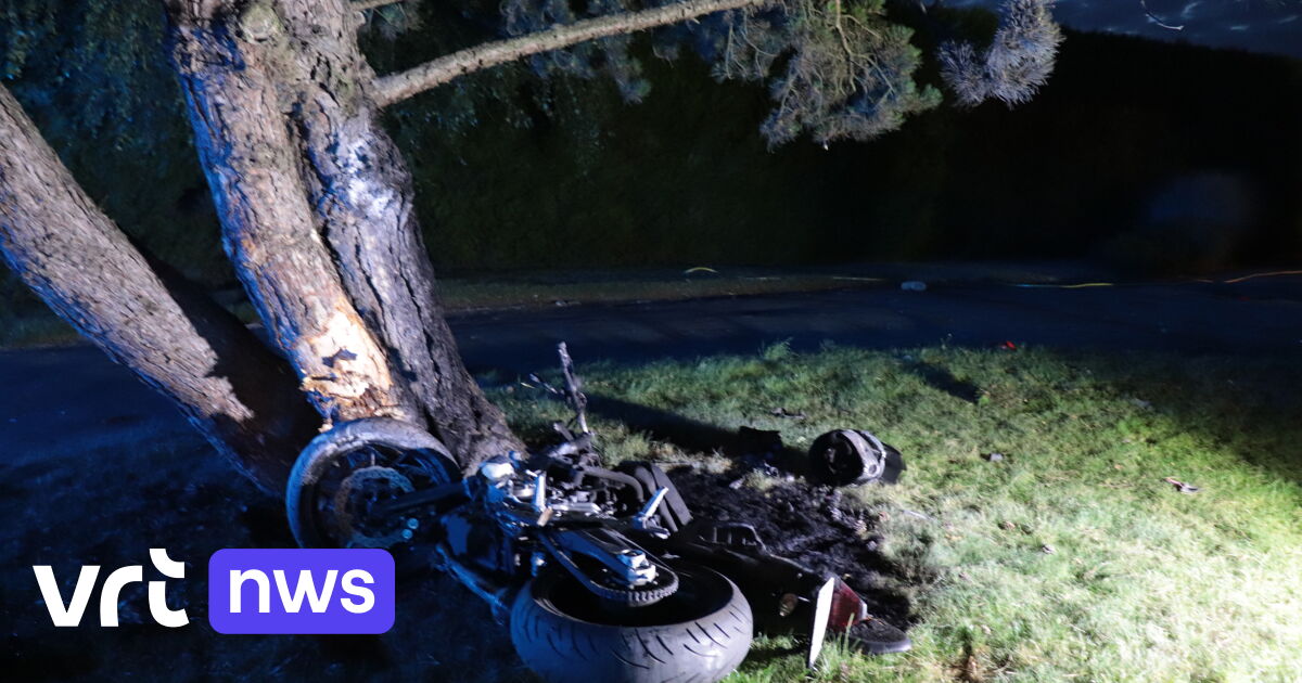 Motorrijder (21) uit Gent botst op boom in Laarne en komt om het leven | VRT NWS: nieuws