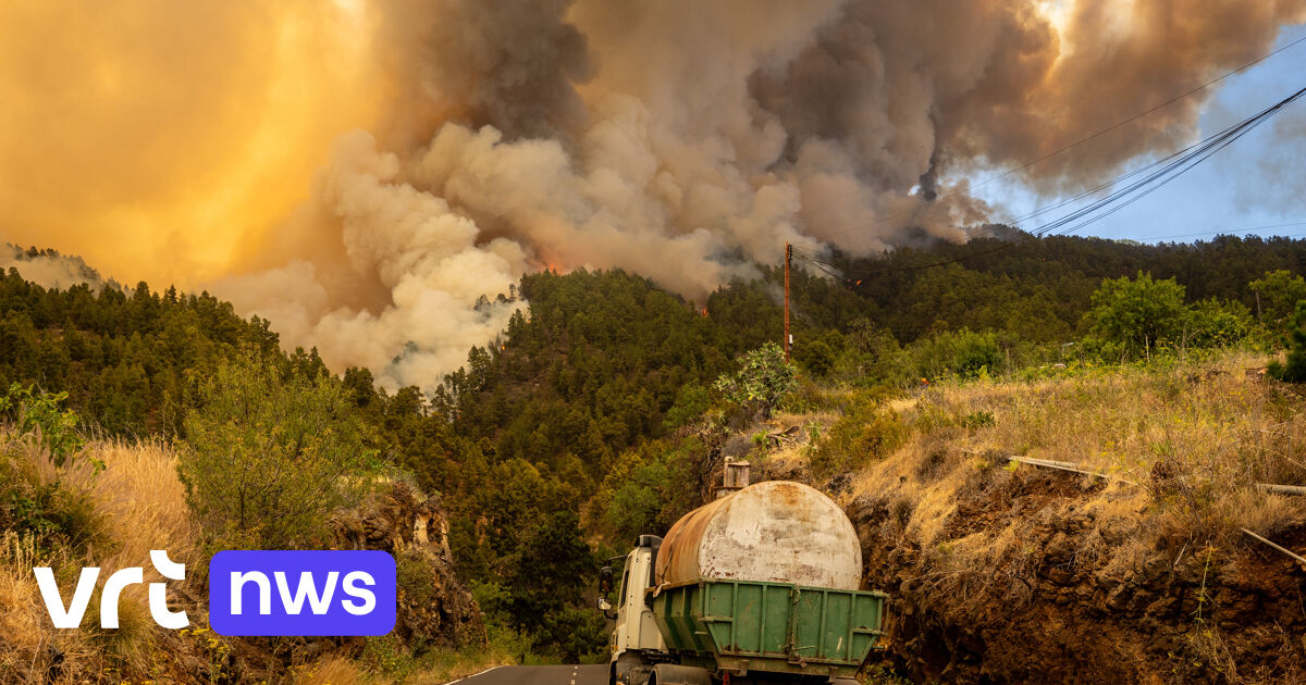 Hitte houdt wereld in de greep: "Weerextremen zijn normaal, maar dit past in plaatje van ...
