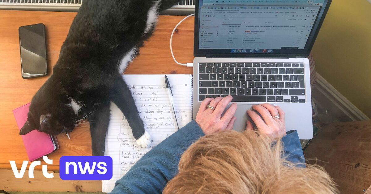 Slechts helft van bedrijven maakt goede afspraken over telewerk | VRT ...