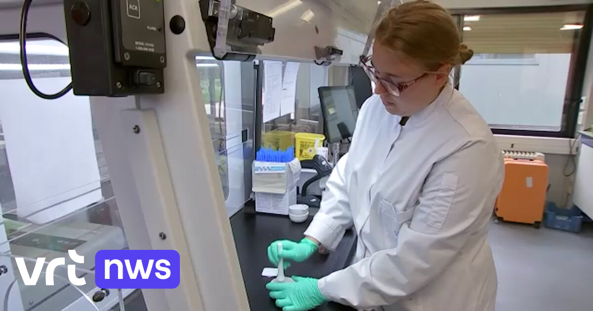 Gefotografeerd en geanalyseerd: in dit lab komen gevonden drugs vanop festivals terecht | VRT ...