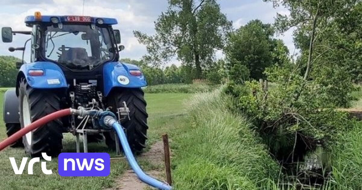 Antwerpse boeren mogen opnieuw water oppompen: onttrekkingsverbod ...