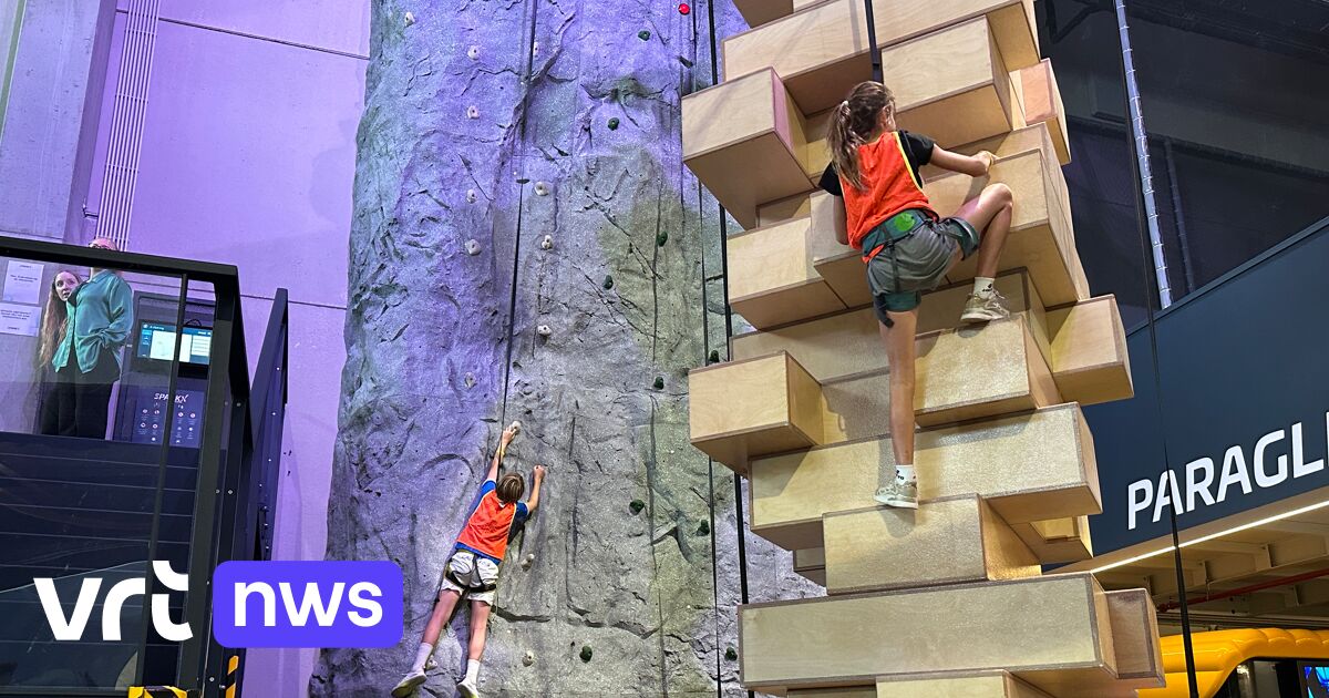 Sportpretpark Sparkx in Hasselt organiseert kampen om jongeren nieuwe ...