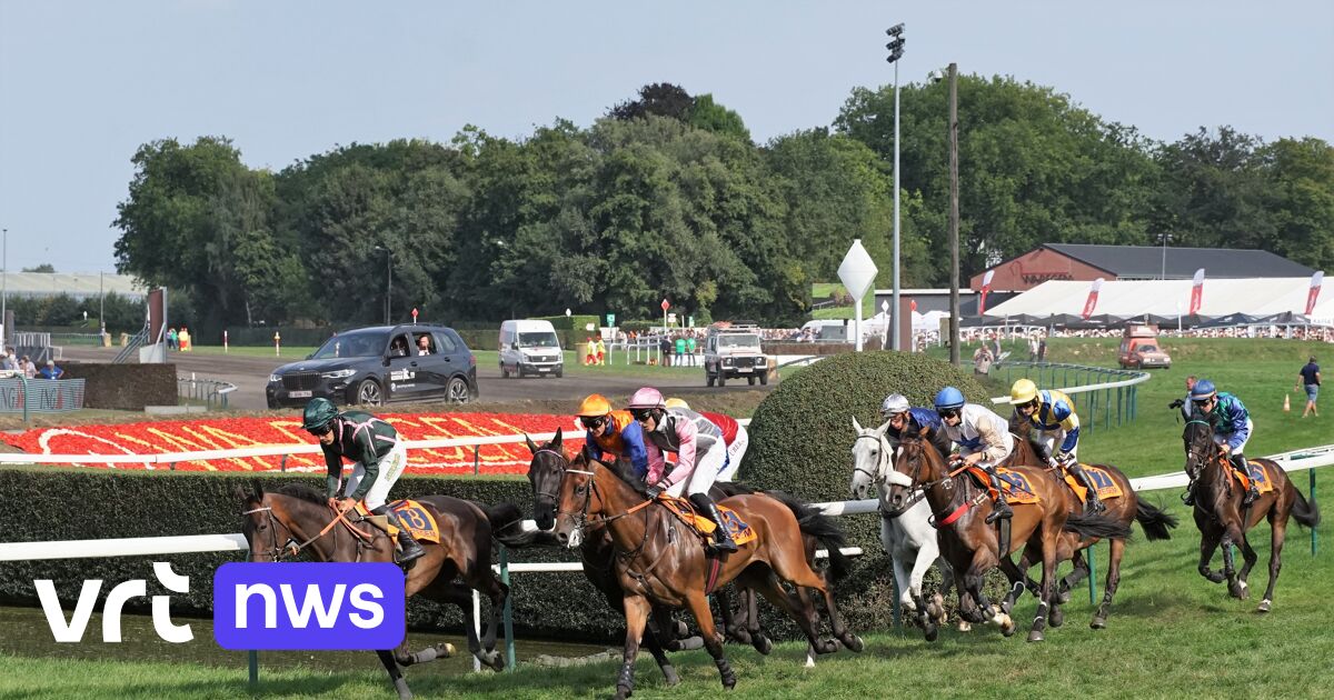 Hindernissen van Waregem Koerse worden aangepast voor veiligheid van ...