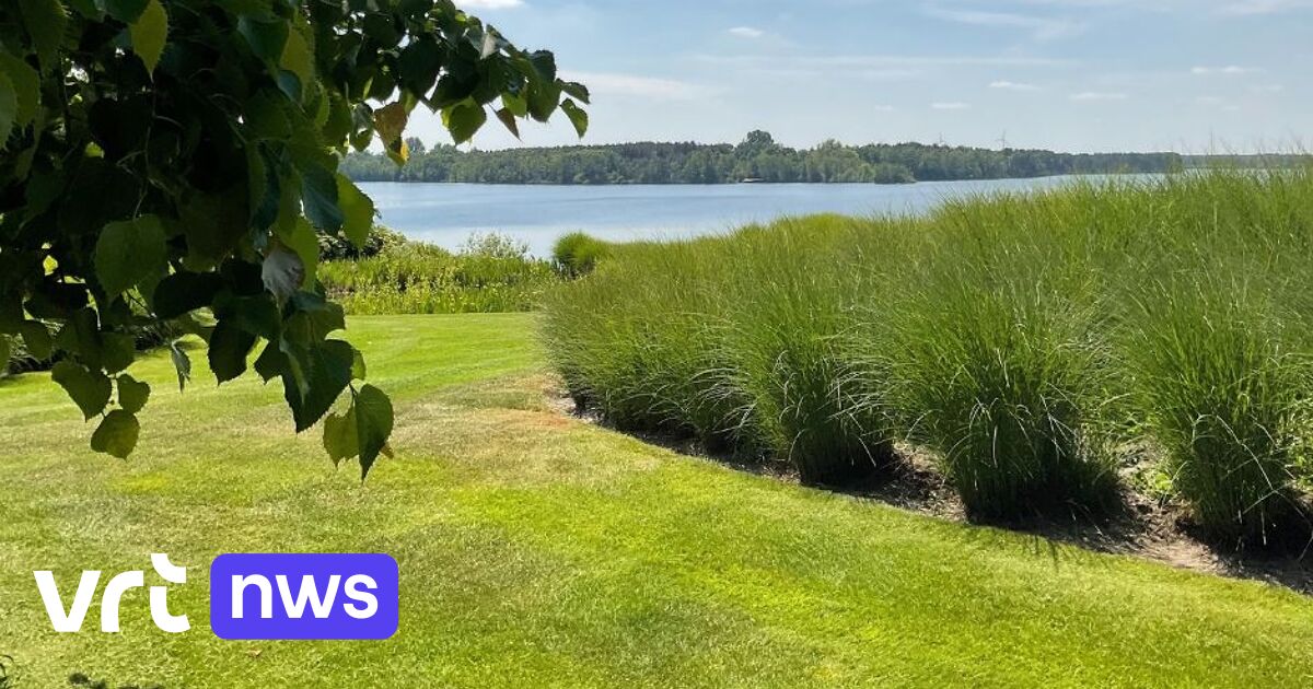 Blauwalg in Put van Rauw in Mol: "We hopen op regen om het weg te ...