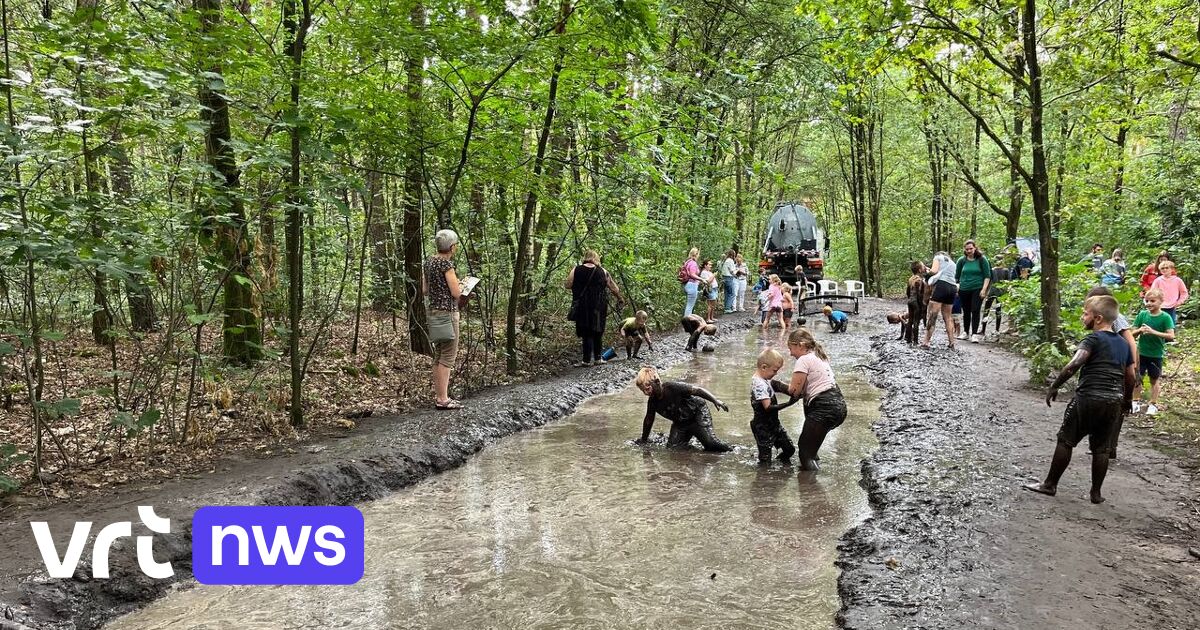 Van kop tot teen in de modder: Modderdag in Hechtel-Eksel lokt zo'n 500 ...