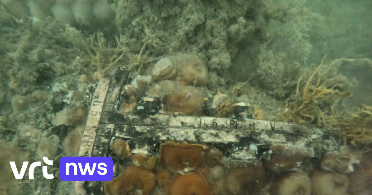 Gezonken Duitse duikboten na 100 jaar geïdentificeerd: bemanning nog ...