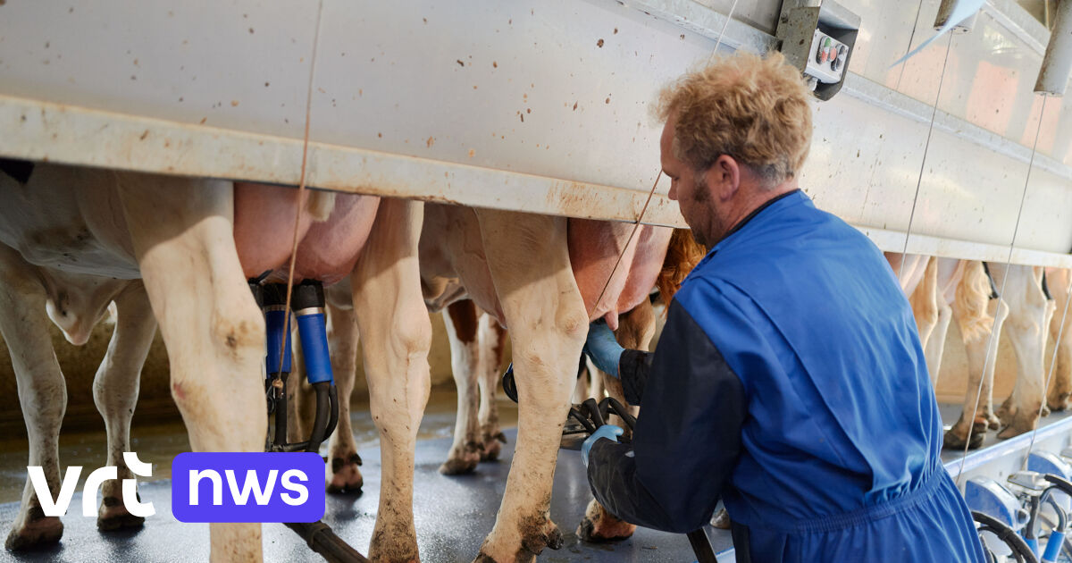 Melkproductie in Vlaanderen is een van de meest klimaatvriendelijke ter ...