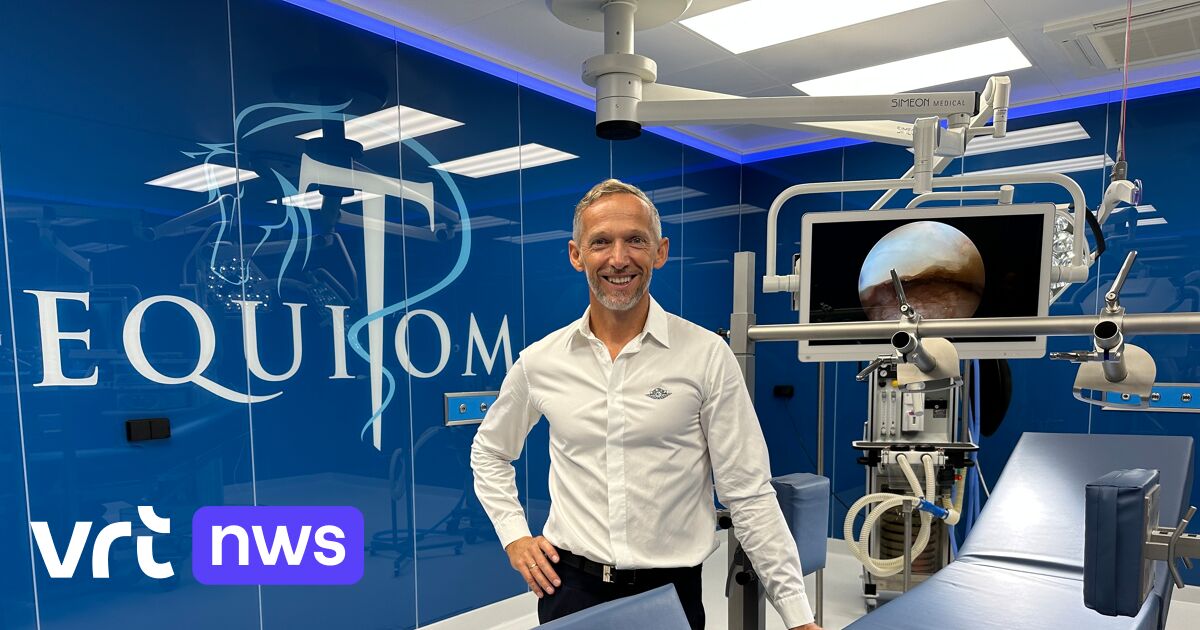 Paardenkliniek Equitom in Lummen breidt uit met extra stallen en ...