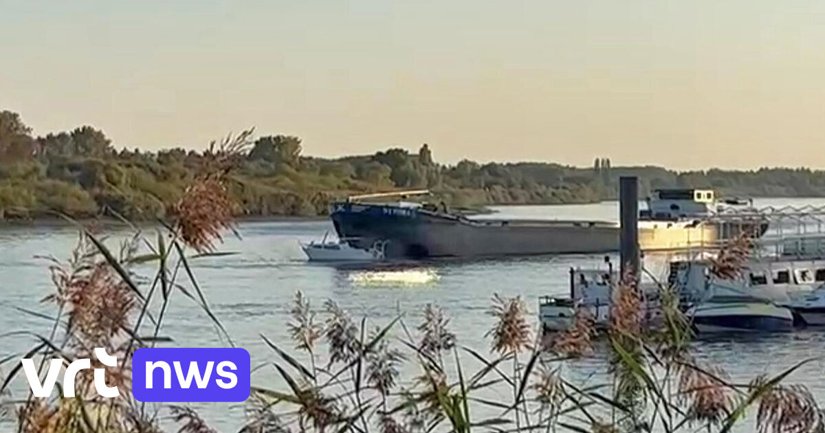BEKIJK - Omstaander filmt aanvaring tussen binnenvaartschip en ...