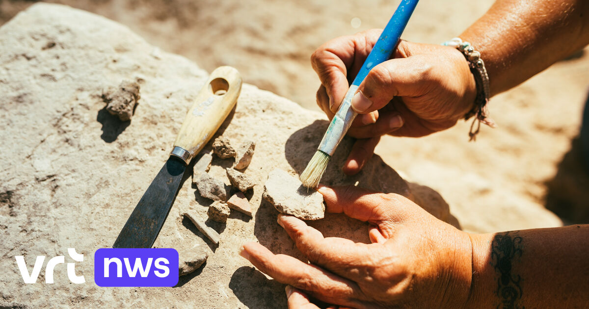 Waarom een doodgewone steen meenemen van vakantie je een zware straf ...