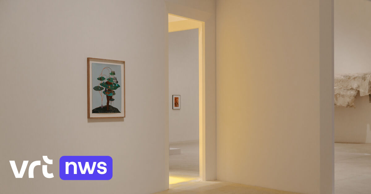 Hedendaagse kunst van 4 grote Vlaamse musea in Z33 in Hasselt | VRT NWS ...
