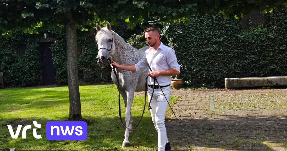 Paard van Chinese president Xi Jinping komt uit stoeterij van Christine ...
