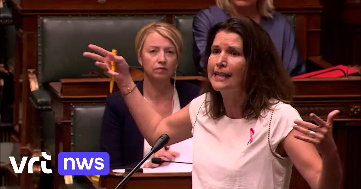 Verontwaardiging in de politiek | VRT NWS: nieuws
