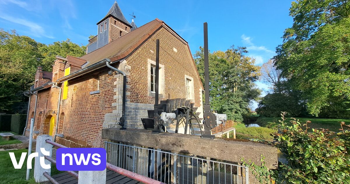 Rotemse molen in Halen staat te koop: "Ik ben 79 jaar, het is voor de ...