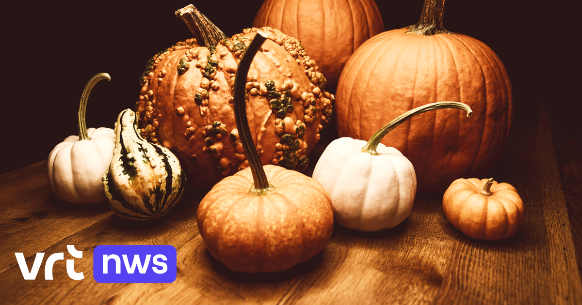 Welke pompoen is eetbaar en welke niet? "Smaakt hij bitter, blijf er ...