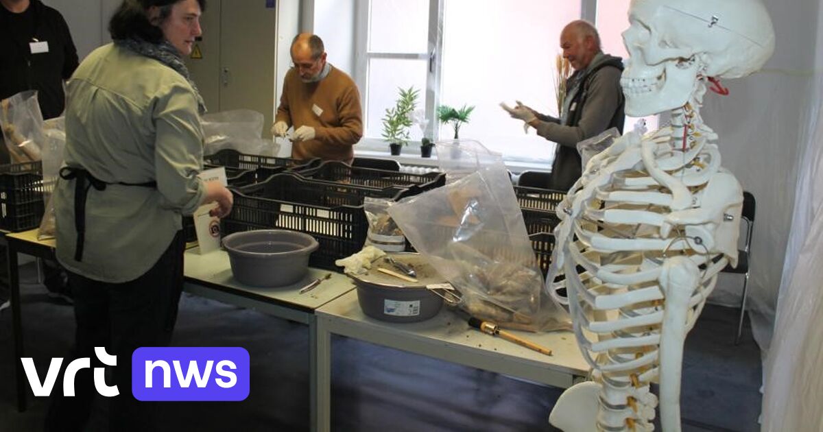 Inwoners Maldegem helpen archeologen met wassen van skeletten en schedels | VRT NWS: nieuws