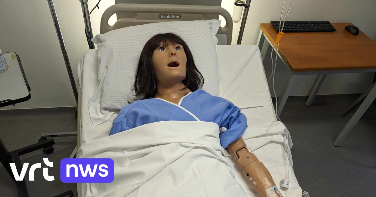 Thomas More in Lier stelt pratende verpleegrobot voor: "Nu kunnen we erg realistische oefeningen ...