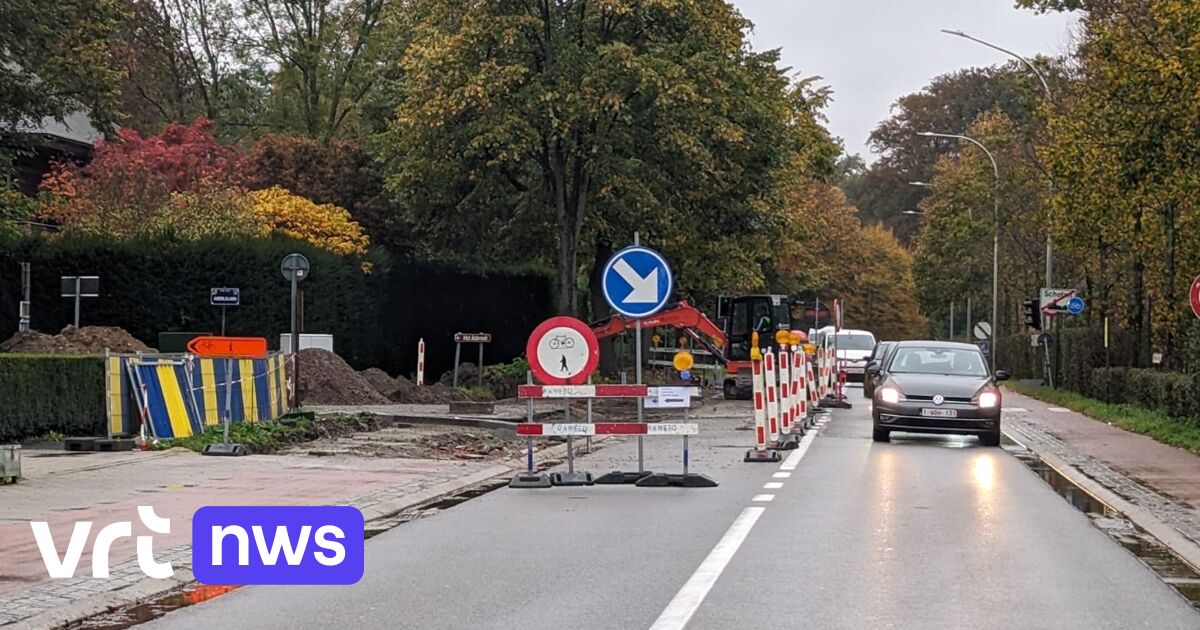 Schotenaren blij met het veiliger maken van kruispunt waar Loes (7) verongelukte: "Er is naar ...