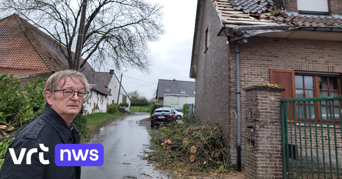Boom valt op huisartsenpraktijk in Merchtem | VRT NWS Nieuws