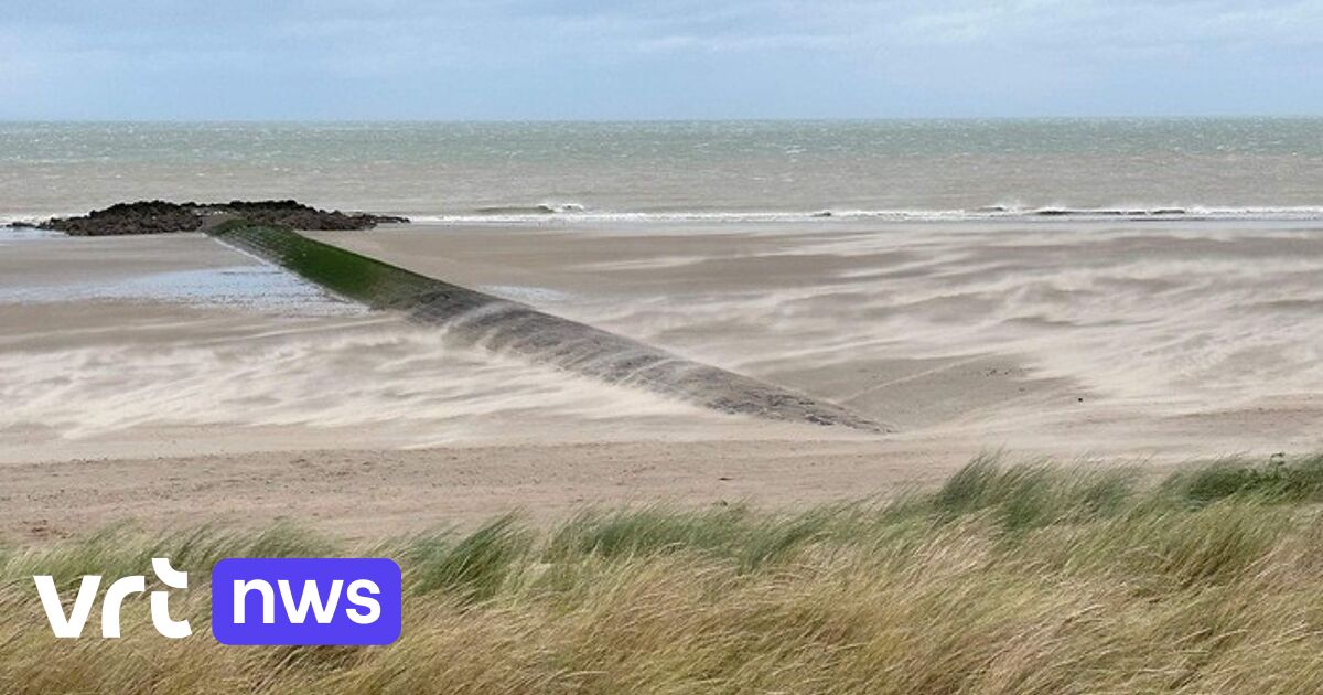 Storm Ciarán in pictures from across Flanders and its capital | VRT NWS ...