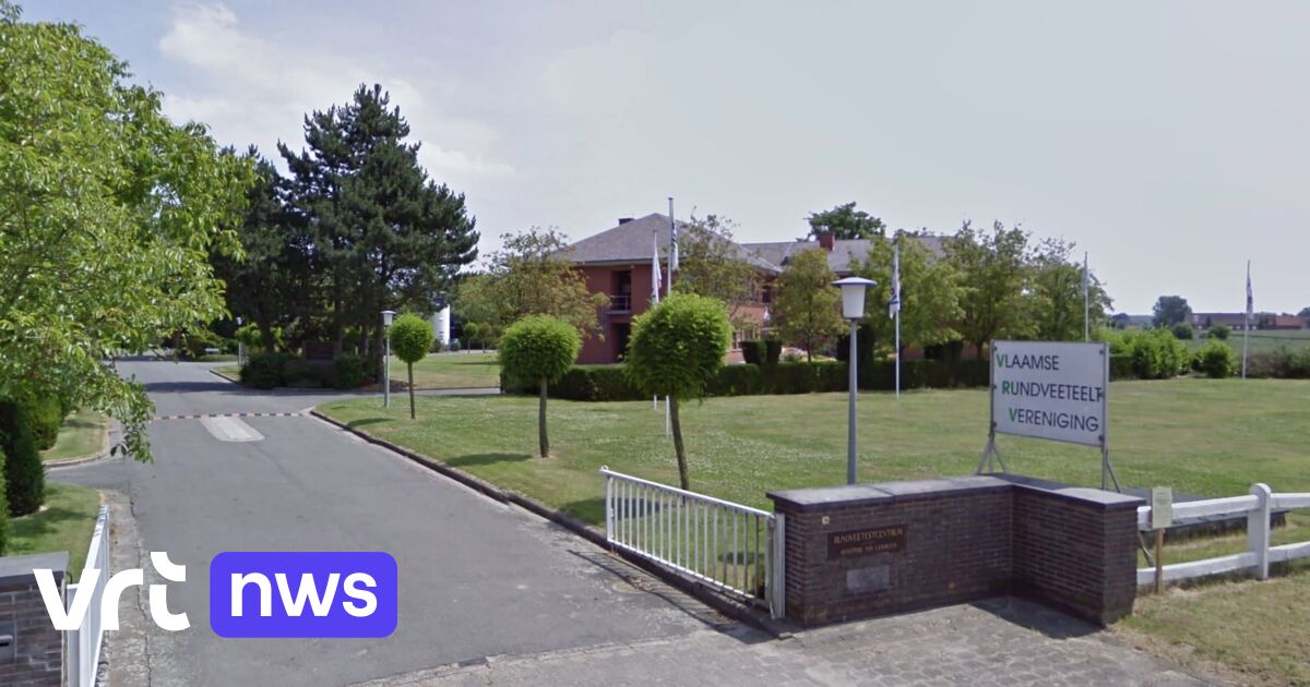 Oosterzele presenteert masterplan voor vroegere VRV-site: "Groene ...