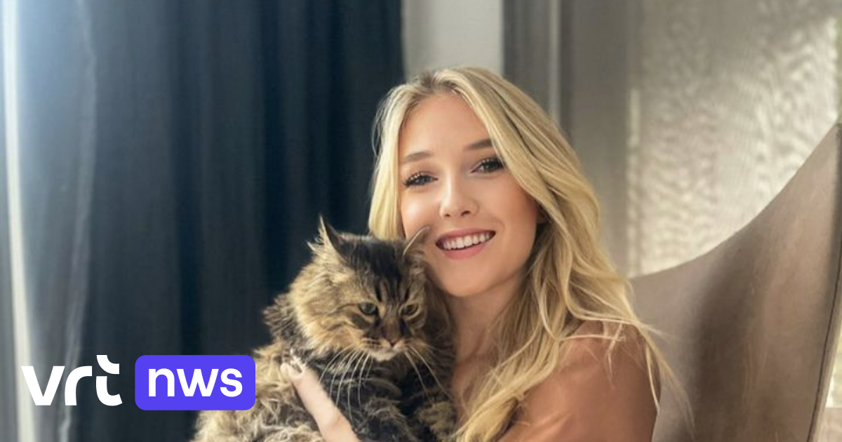 Drie jaar na terugkeer van katje Lee uit Peru: baasje moet opnieuw voor ...