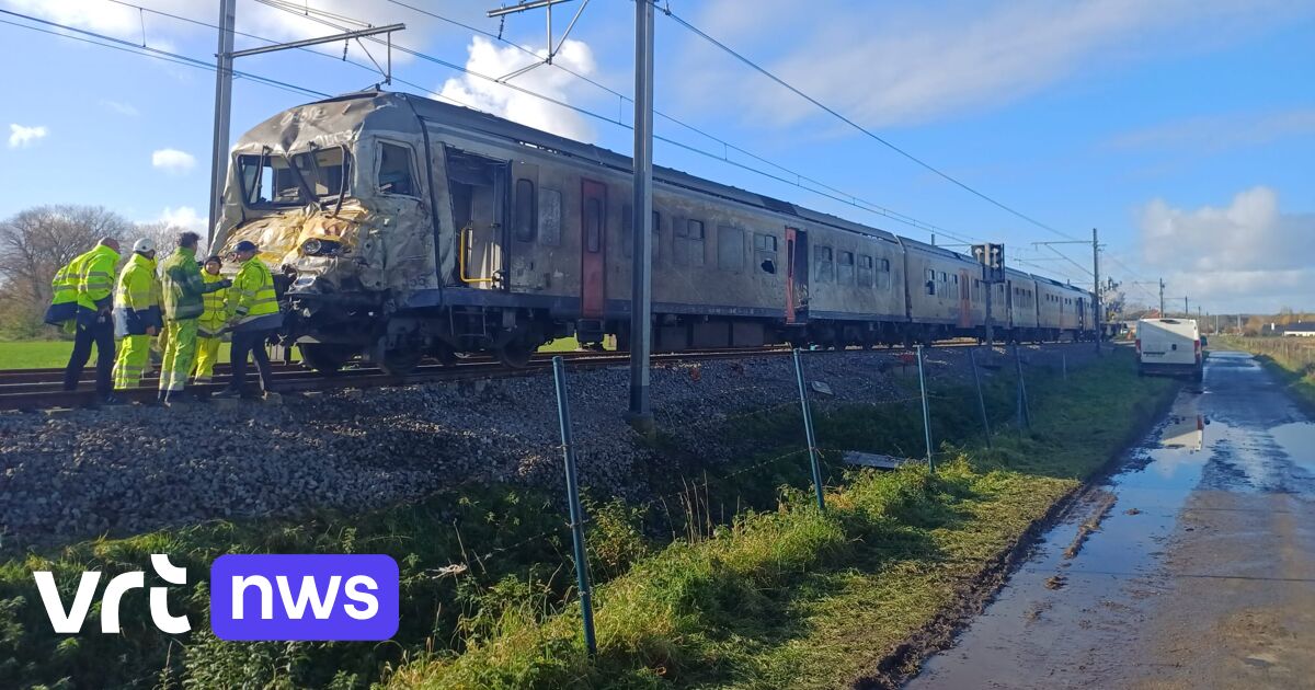 Vrachtwagenchauffeur negeerde rode lichten bij ongeval met trein aan ...