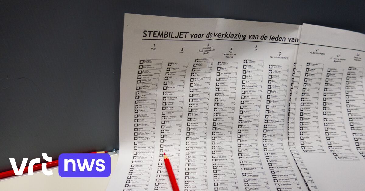How do you vote in the European elections in Belgium? | VRT NWS: news