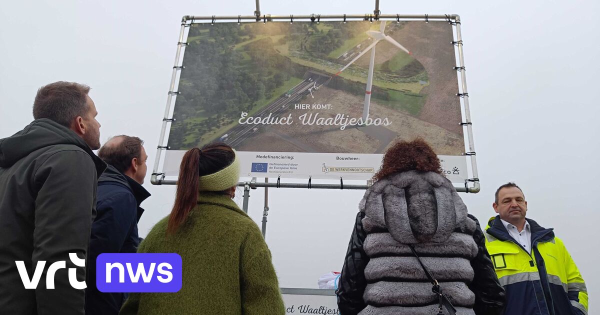 Werken aan ecoduct Waaltjesbos over N71 in Lommel gestart | VRT NWS Nieuws