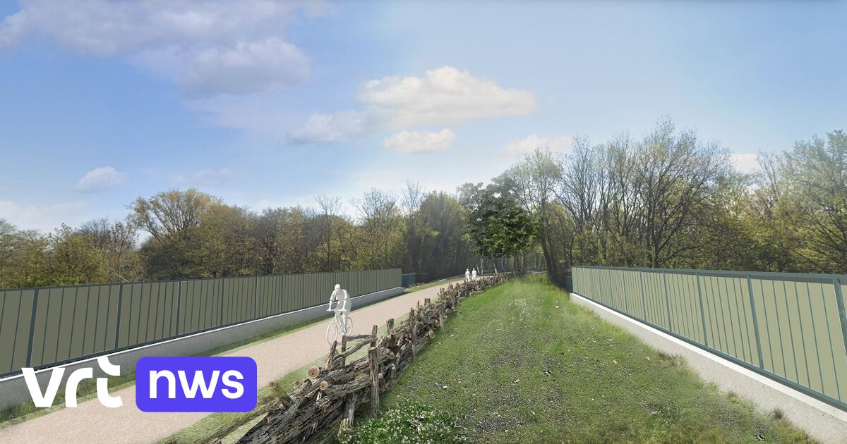 Asfalt maakt plaats voor groen in Vilvoorde, brug wordt ecoduct | VRT NWS: nieuws