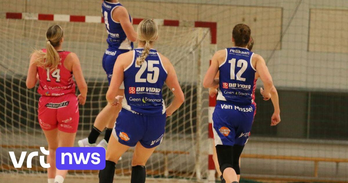 Nieuwe sporthal voor Kangoeroes Basket Mechelen in een vergroende buurt ...