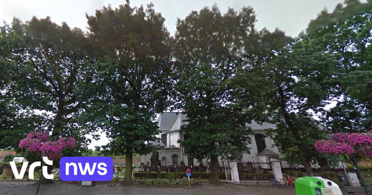 Zeveneken heeft opnieuw de bomen die het dorp zijn naam gaven: zeven ...