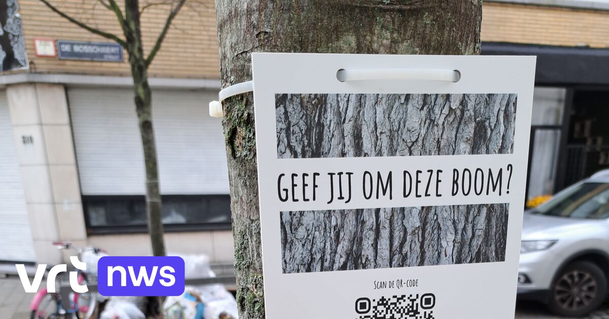 QR-codes op bomen op het Kiel in Antwerpen nodigen buurtbewoners uit om ...
