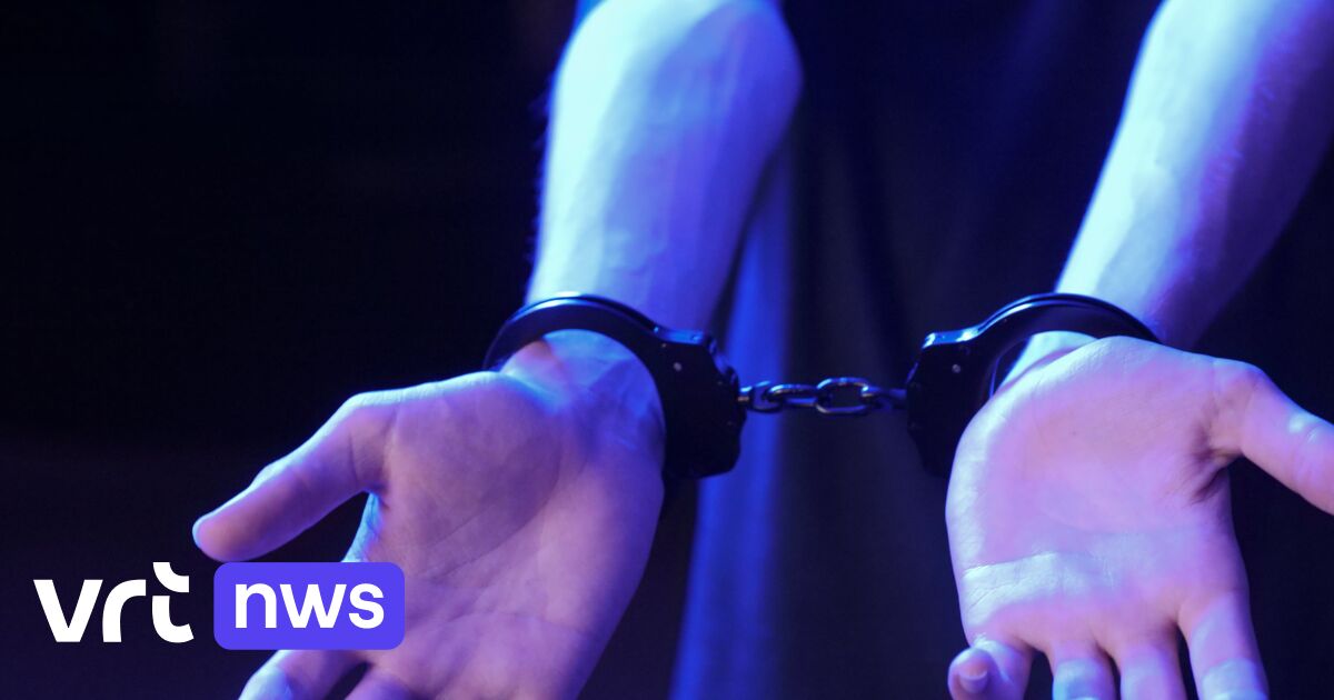 21-jarige verdachte van diefstallen uit auto's opgepakt in Lochristi | VRT NWS: nieuws