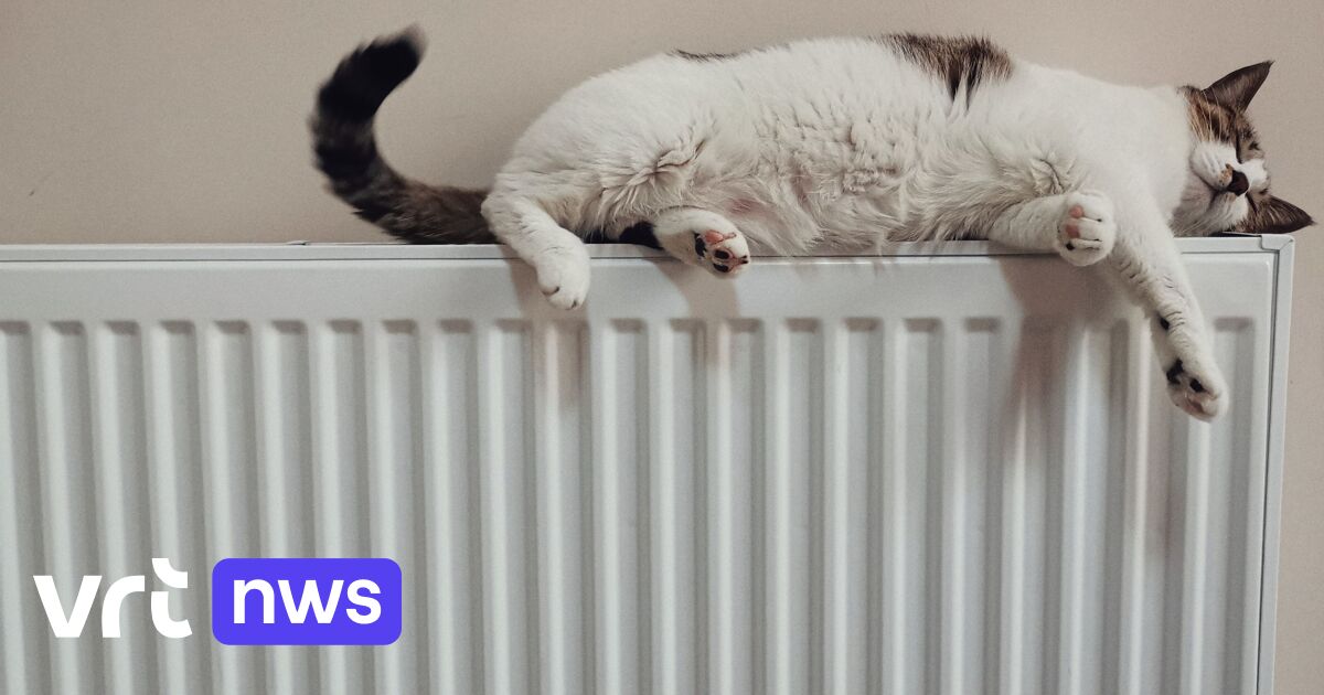 Now the weather is starting to get cooler is it time to switch on the ...