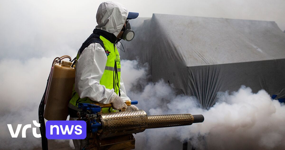 WHO waarschuwt voor toename knokkelkoorts in Europa | VRT NWS: nieuws