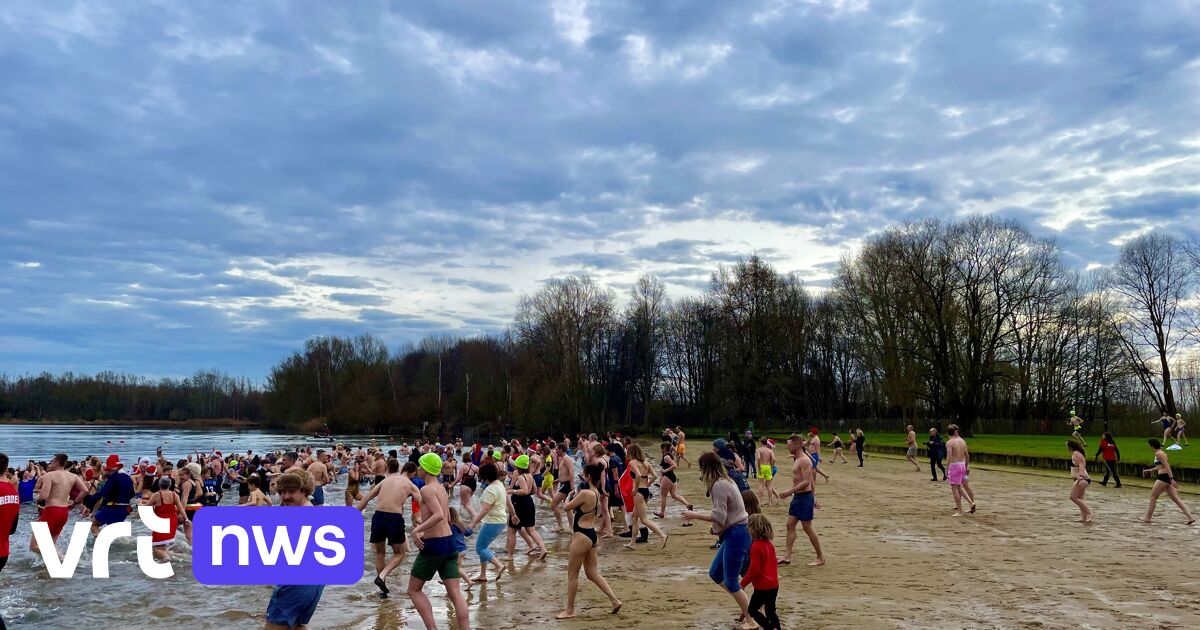 Tickets voor oudejaarsduik in Plas van Rotselaar sneller uitverkocht ...