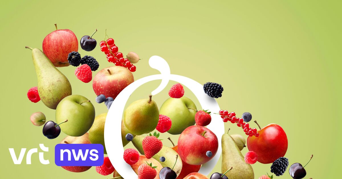 "Koop lokaal": fruitveiling BelOrta doet oproep naar consumenten om ...