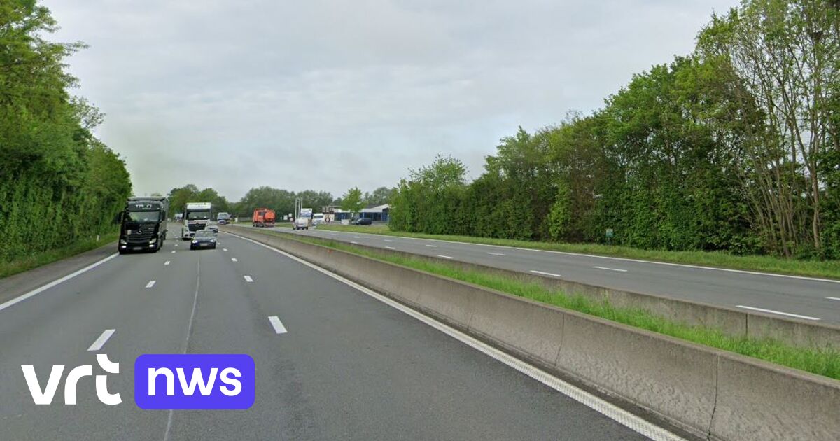 Zwaargewonde bij verkeersongeval op A12 in Londerzeel | VRT NWS: nieuws