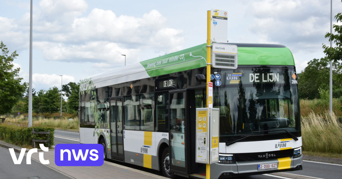 Vakbonden van Vlaamse busbouwer Van Hool na keuze voor Chinese bussen bij De Lijn: "Zware ...