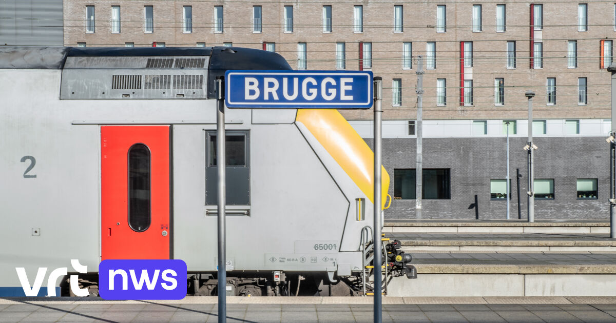 Knife fight on packed Ostend-bound train: 1 person injured | VRT NWS: news