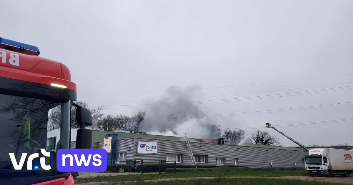 Uitslaande brand in bedrijfsgebouw in Herentals: geen gewonden, wel ...